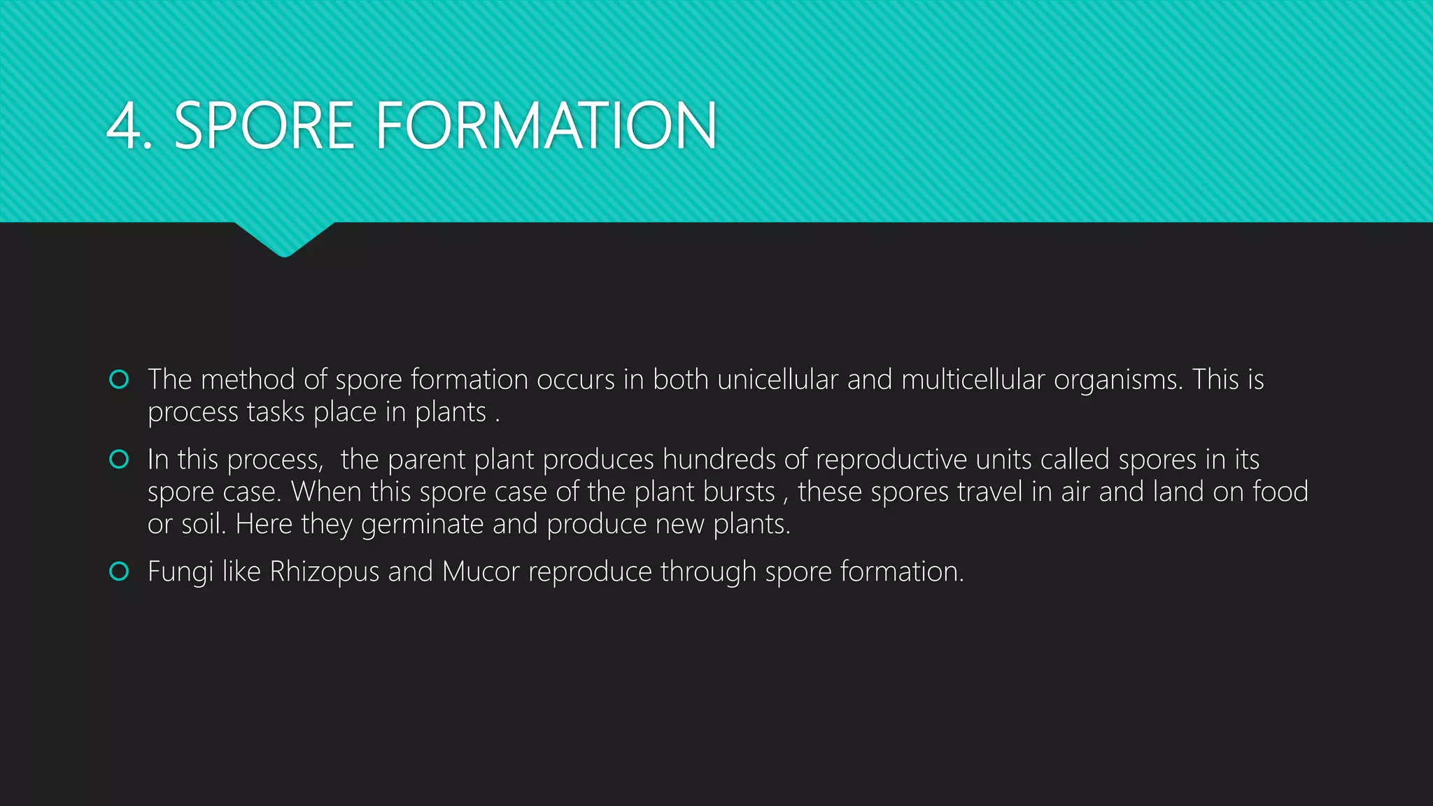 ASEXUAL REPRODUCTION IN PLANTS | PPTX