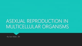 ASEXUAL REPRODUCTION IN PLANTS | PPT