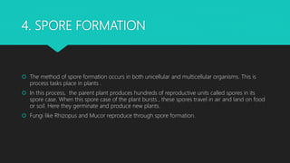 ASEXUAL REPRODUCTION IN PLANTS | PPTX