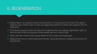 ASEXUAL REPRODUCTION IN PLANTS | PPT