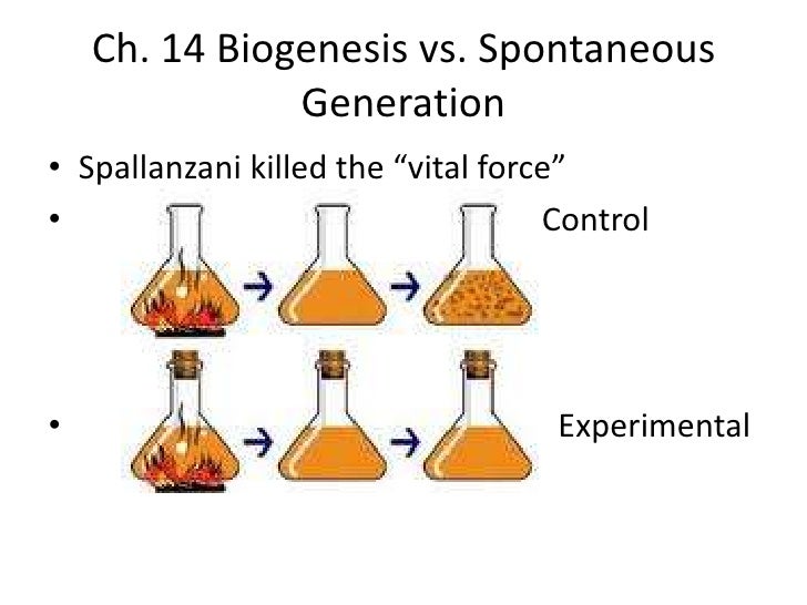 Biology final exam review