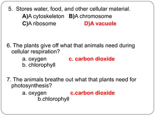 Biology first grading review | PPT | Free Download