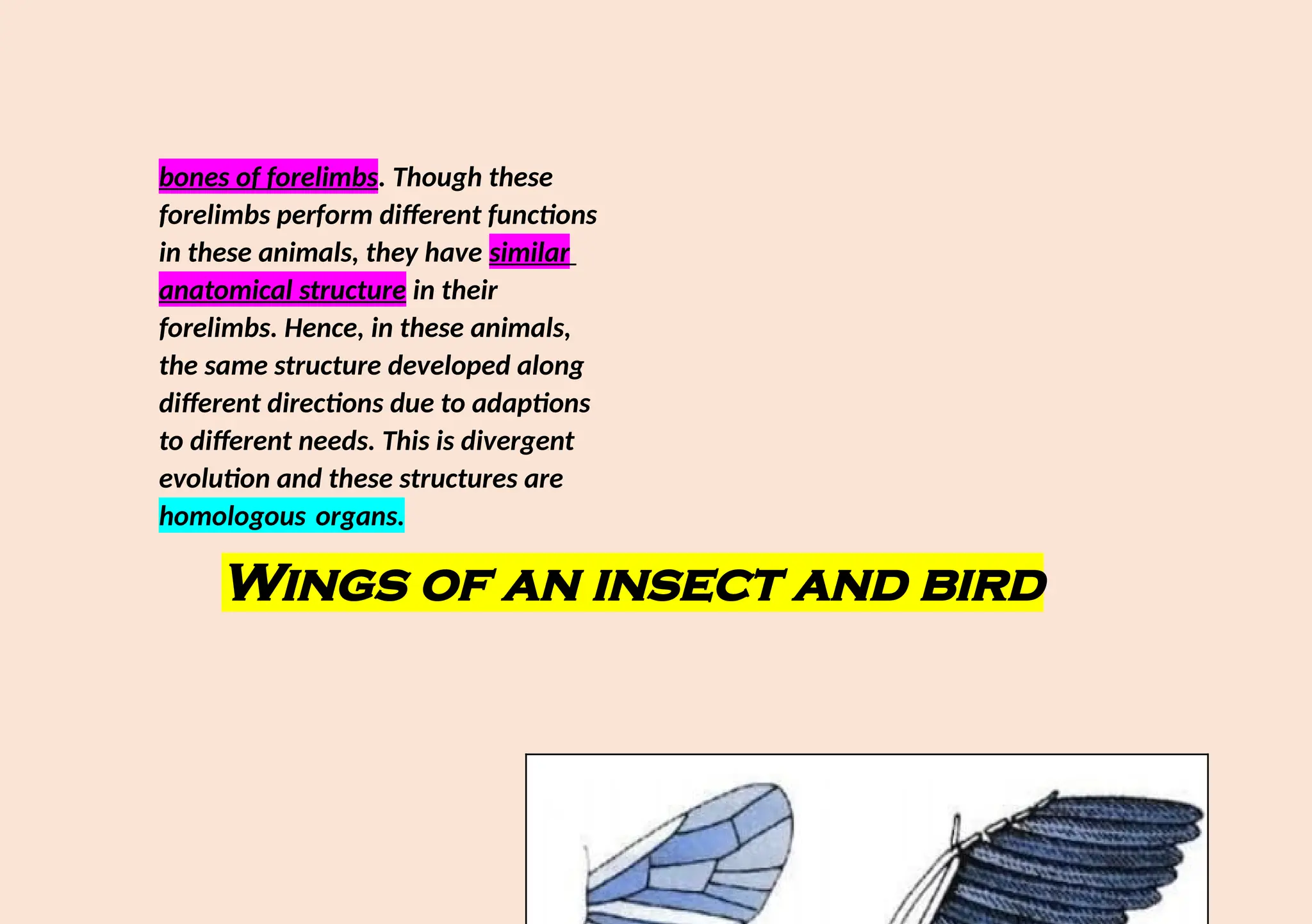 BIOLOGY FLASHCARD for class 12 practical | DOCX
