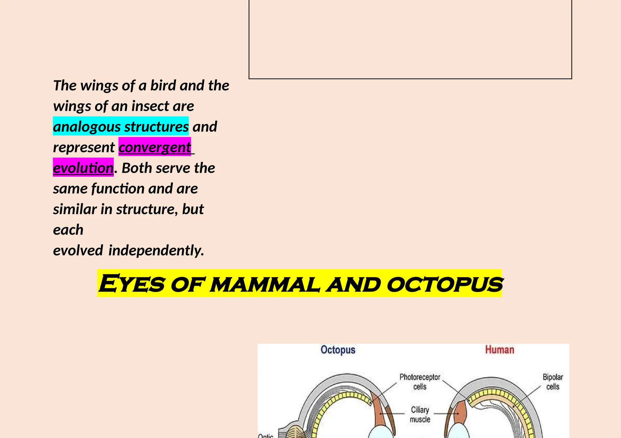 BIOLOGY FLASHCARD for class 12 practical | DOCX