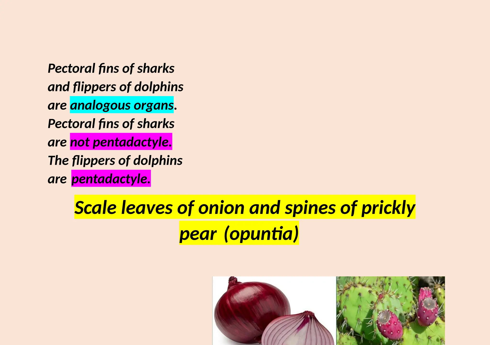 BIOLOGY FLASHCARD for class 12 practical | DOCX