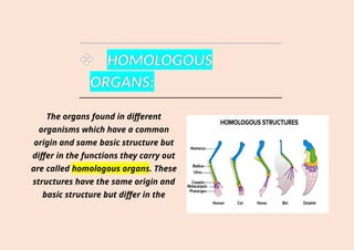 BIOLOGY FLASHCARD for class 12 practical | DOCX