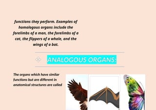 BIOLOGY FLASHCARD for class 12 practical | DOCX