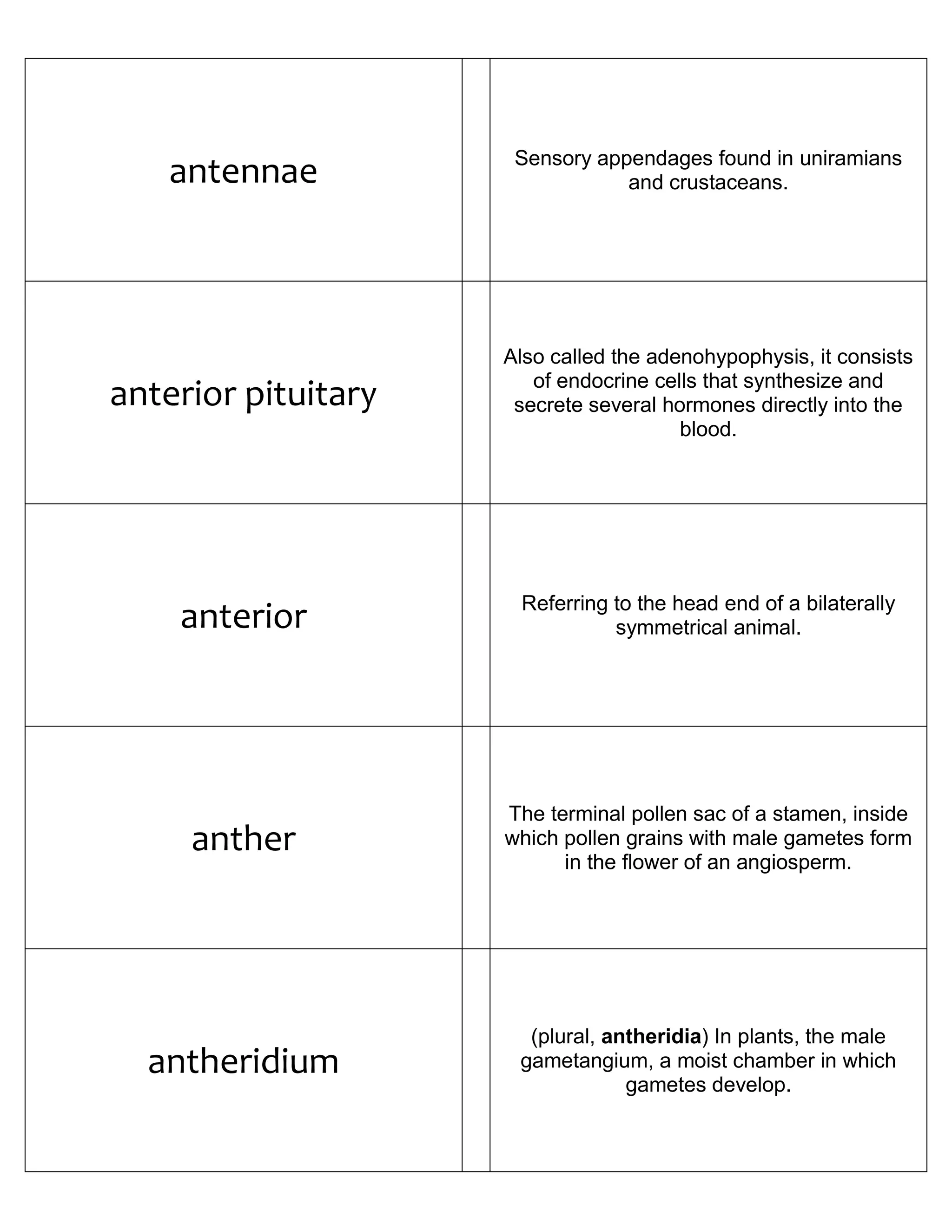 Biology Flash Cards Part I | DOCX