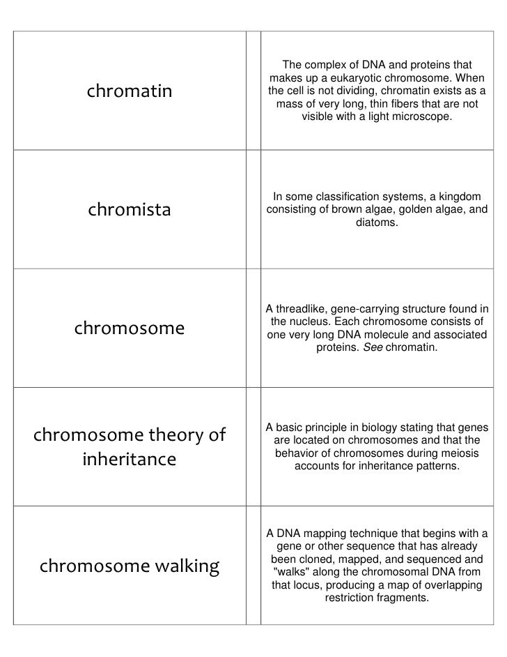 Biology Flash Cards Part I