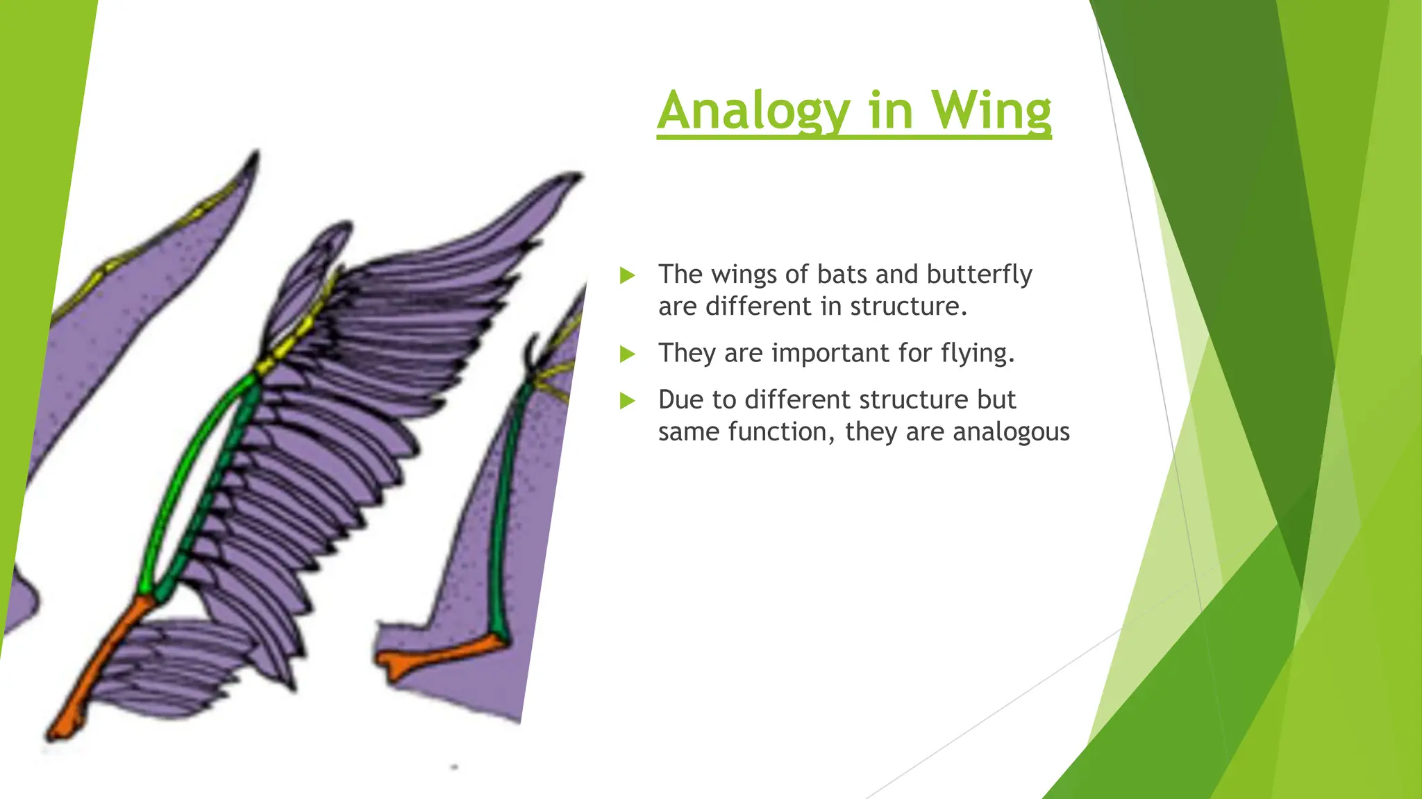 BIOLOGY FLASH CARDS very very very very very helpful | PPTX