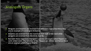 BIOLOGY FLASH CARDS very very very very very helpful | PPTX