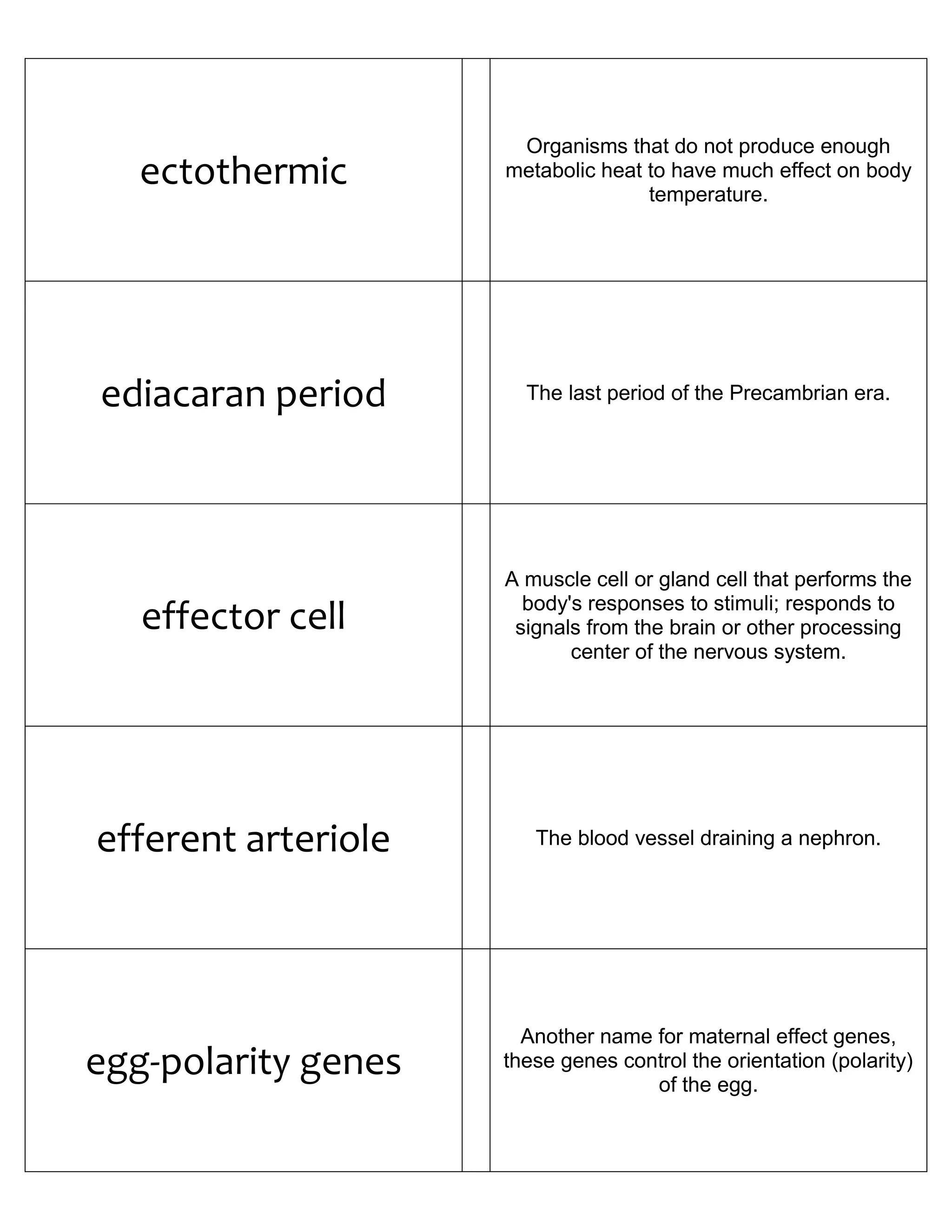 Biology Flash Cards 2 | DOCX | Science