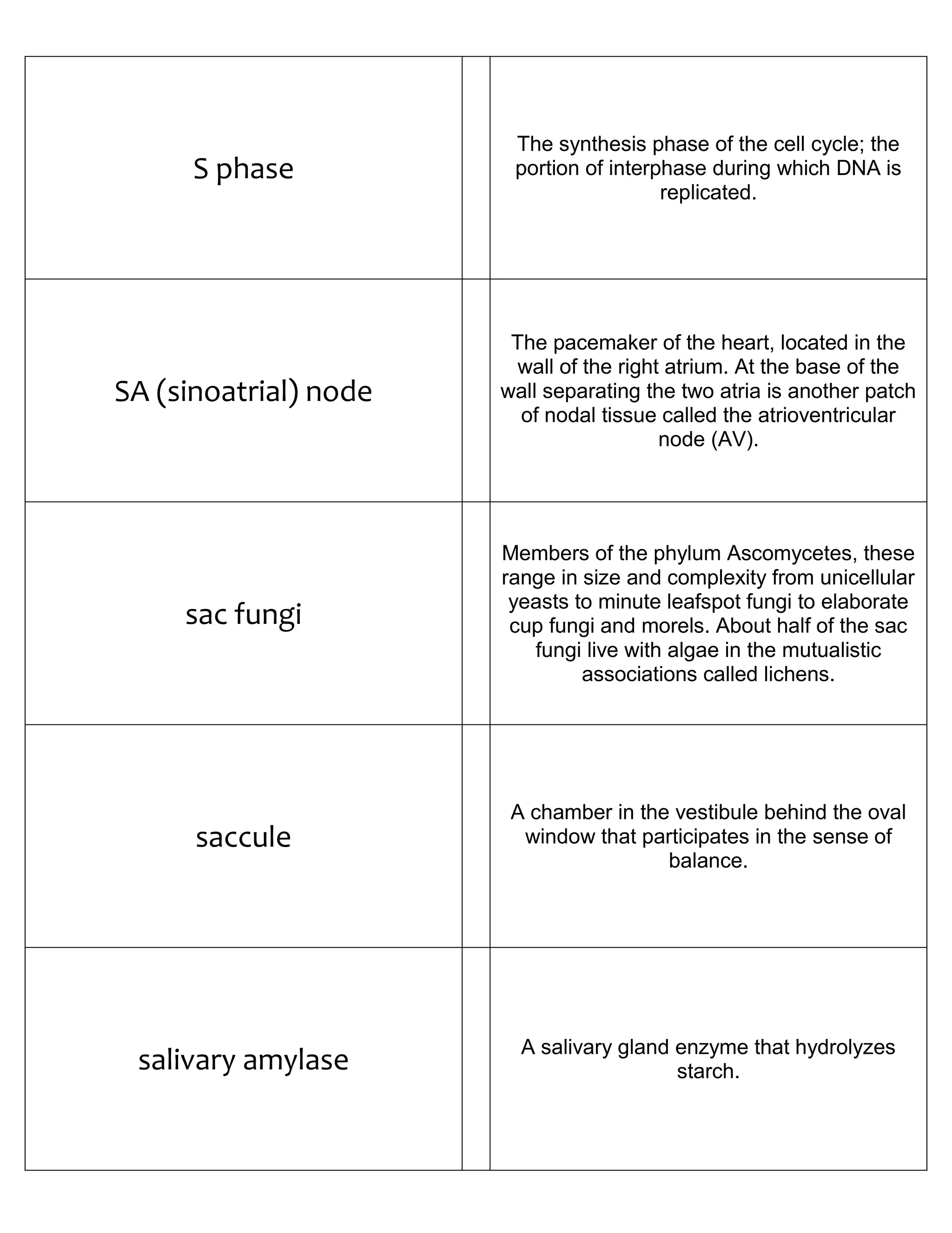 Biology Flash Cards 5 | DOCX