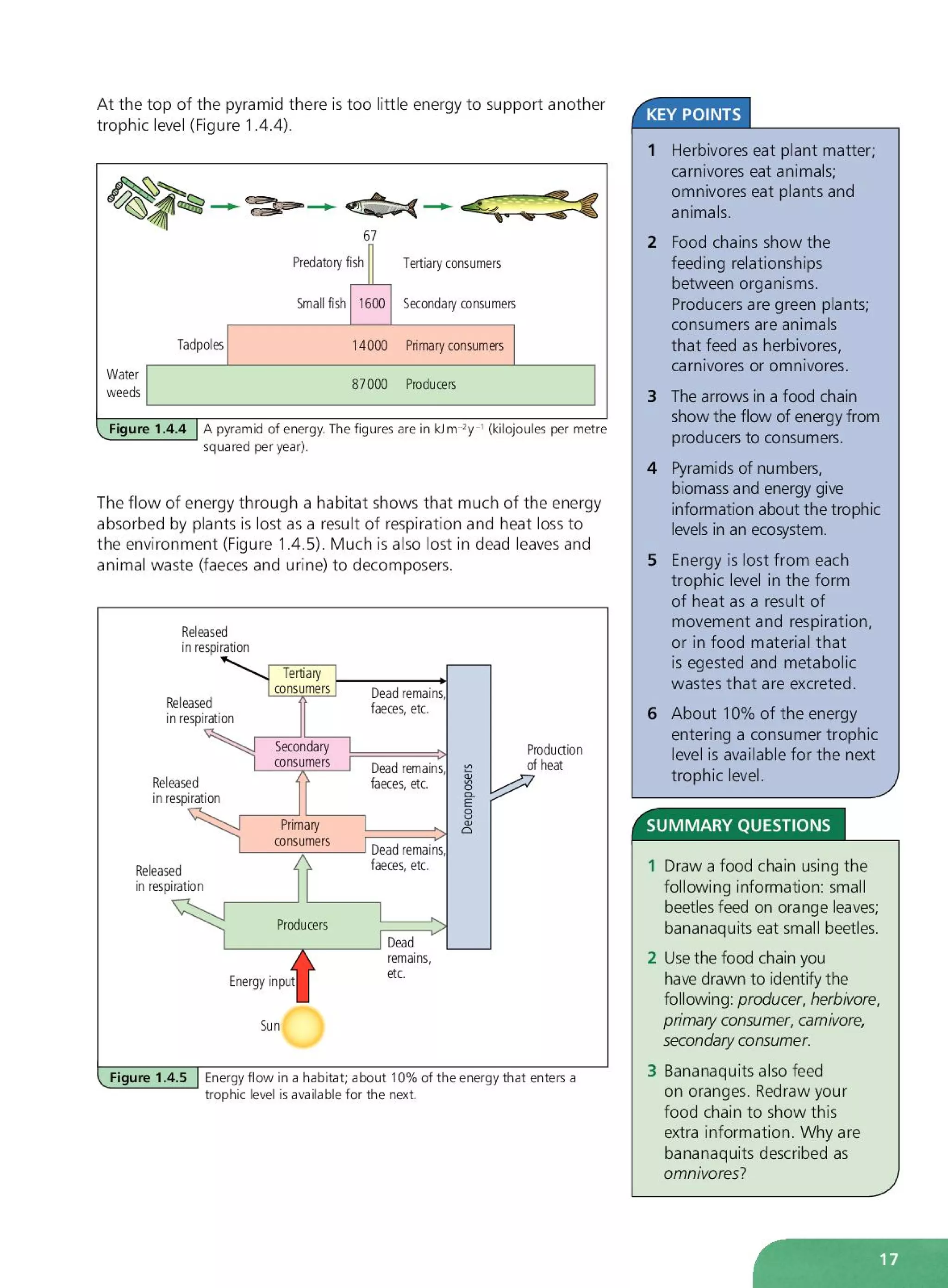 Biology for csec study guide | PDF