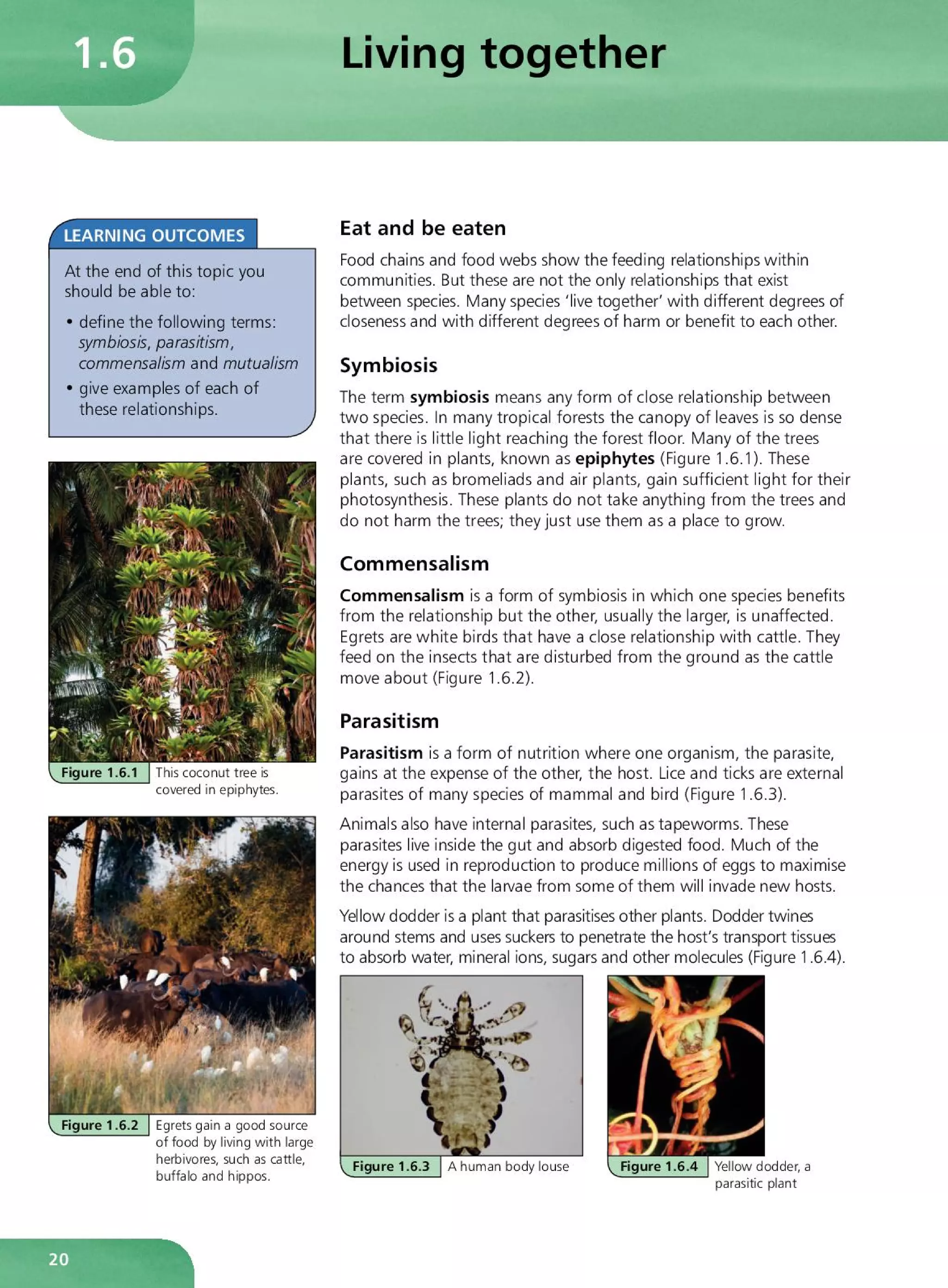 Biology for csec study guide | PDF