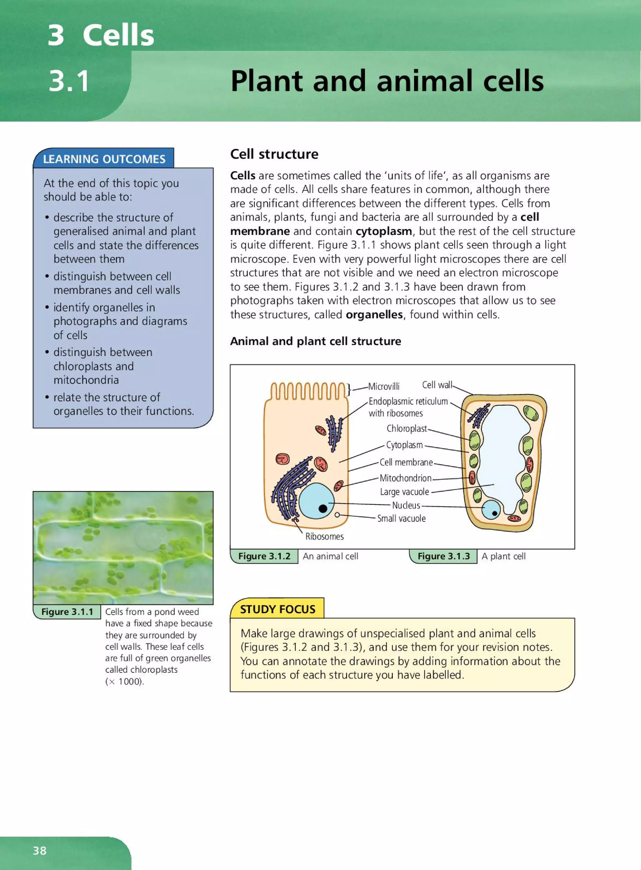 Biology for csec study guide | PDF