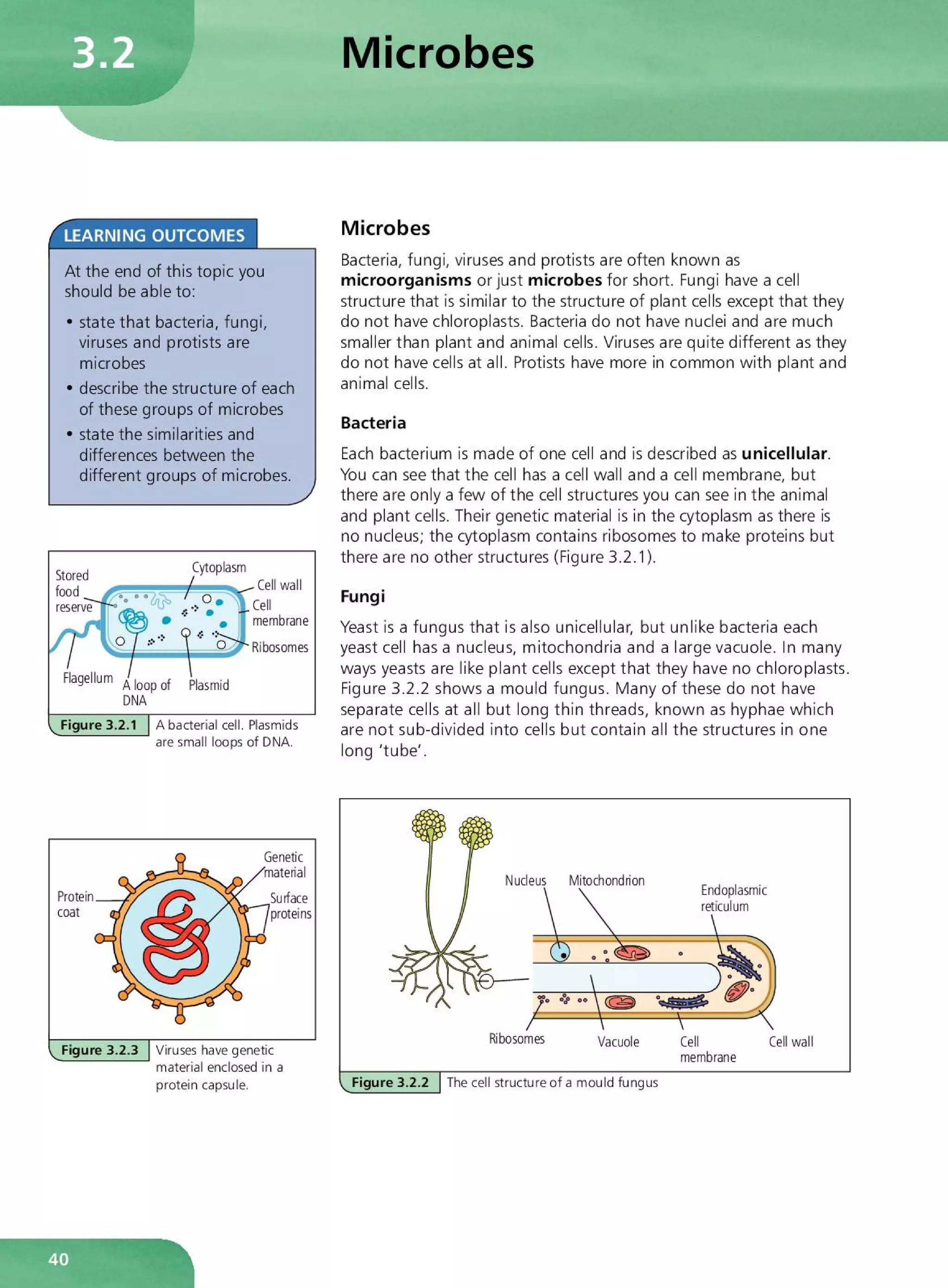 Biology for csec study guide | PDF