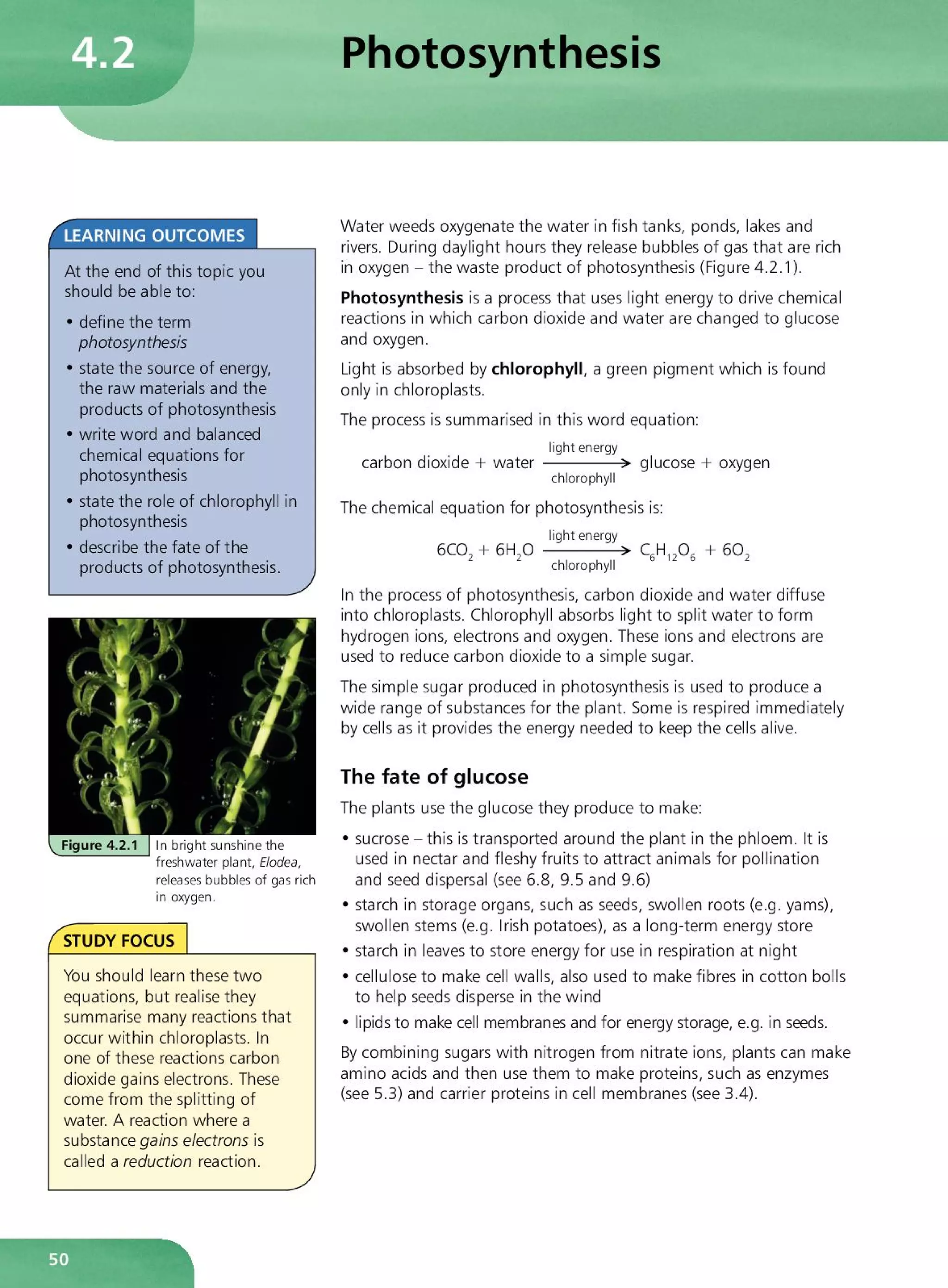 Biology for csec study guide | PDF