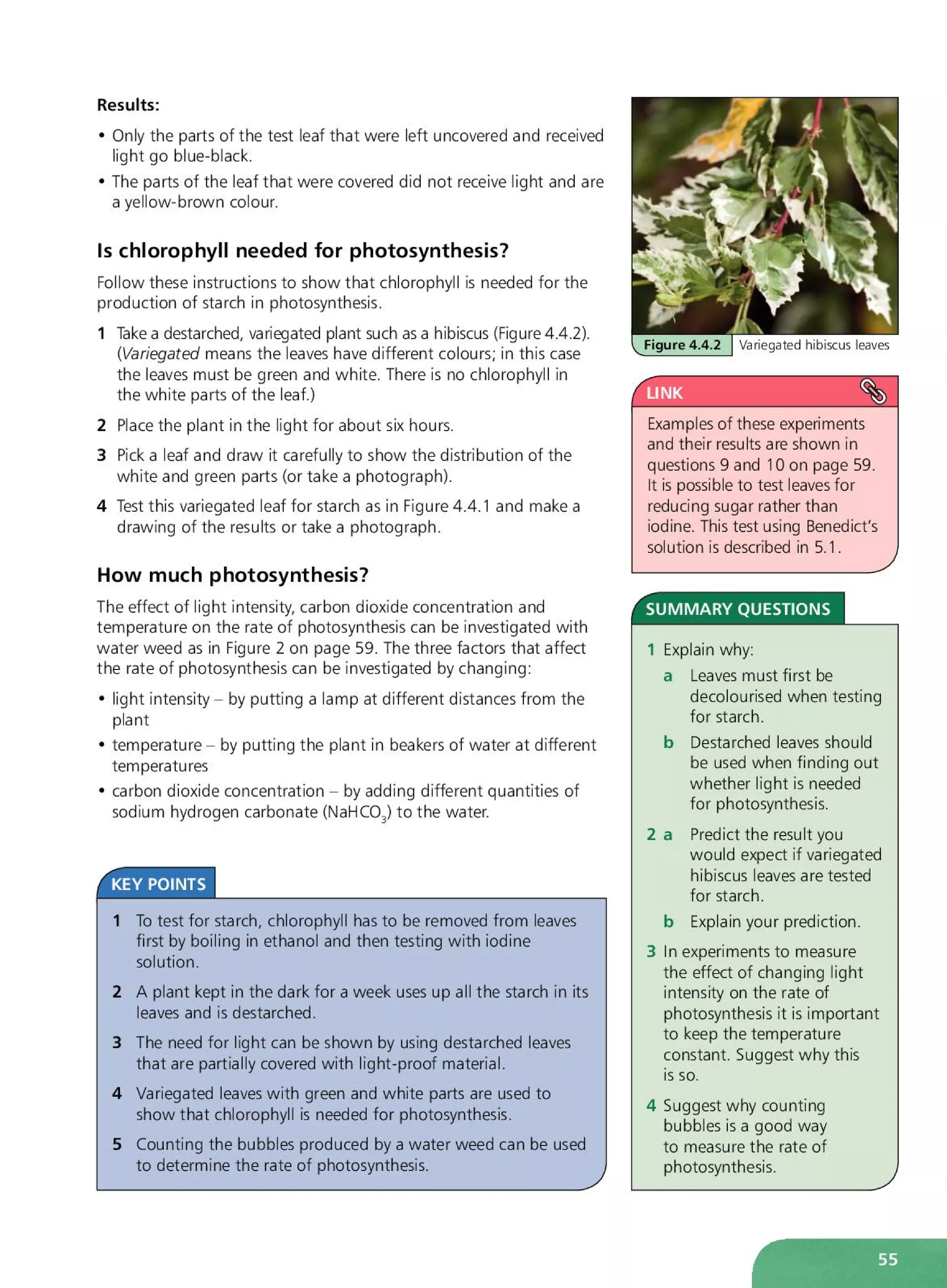 Biology for csec study guide | PDF