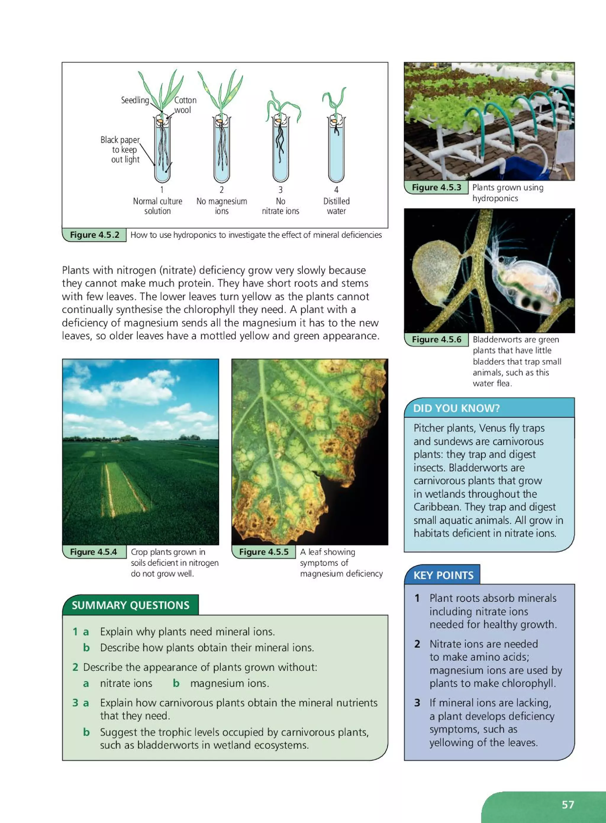 Biology for csec study guide | PDF