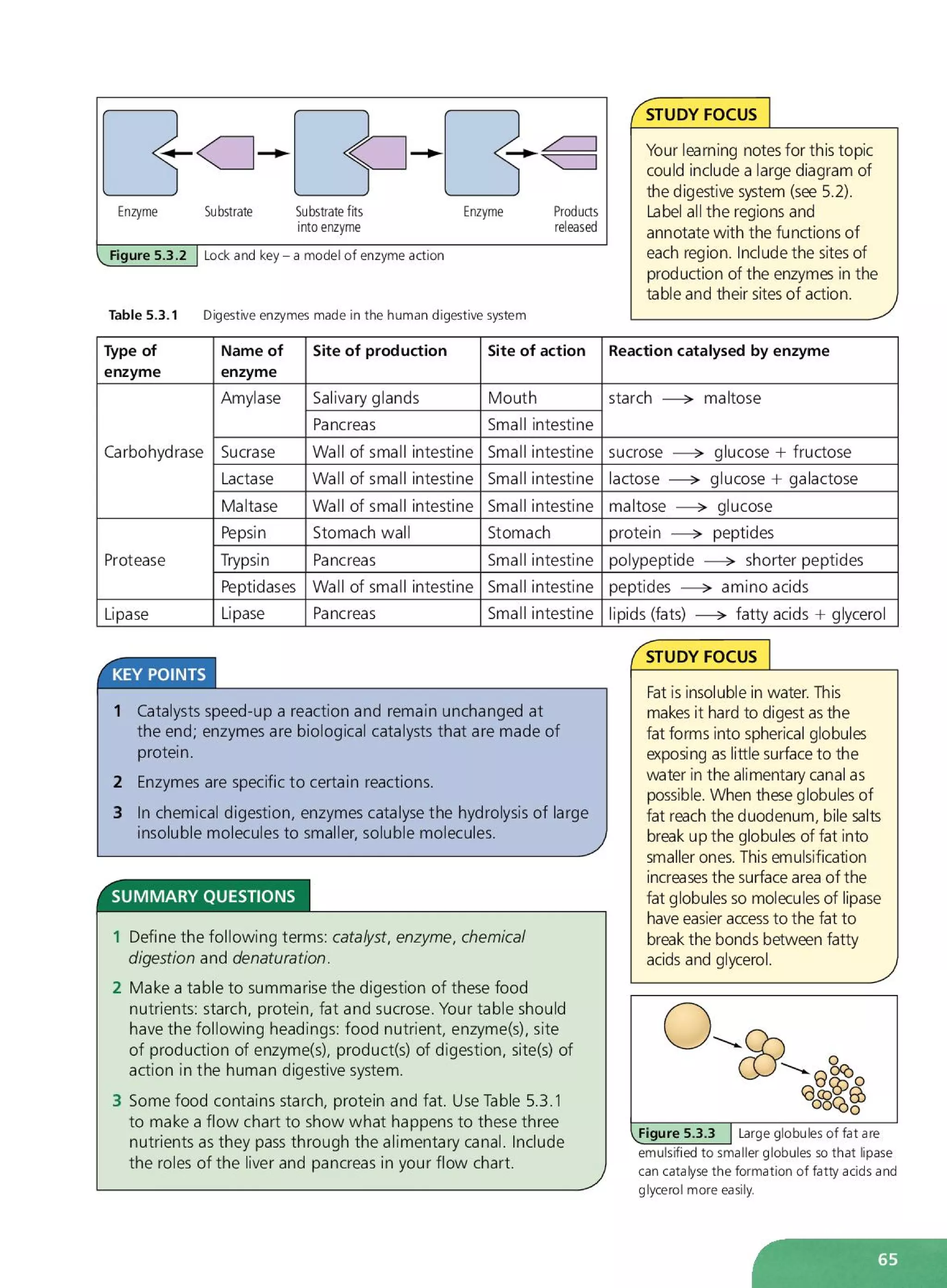 Biology for csec study guide | PDF