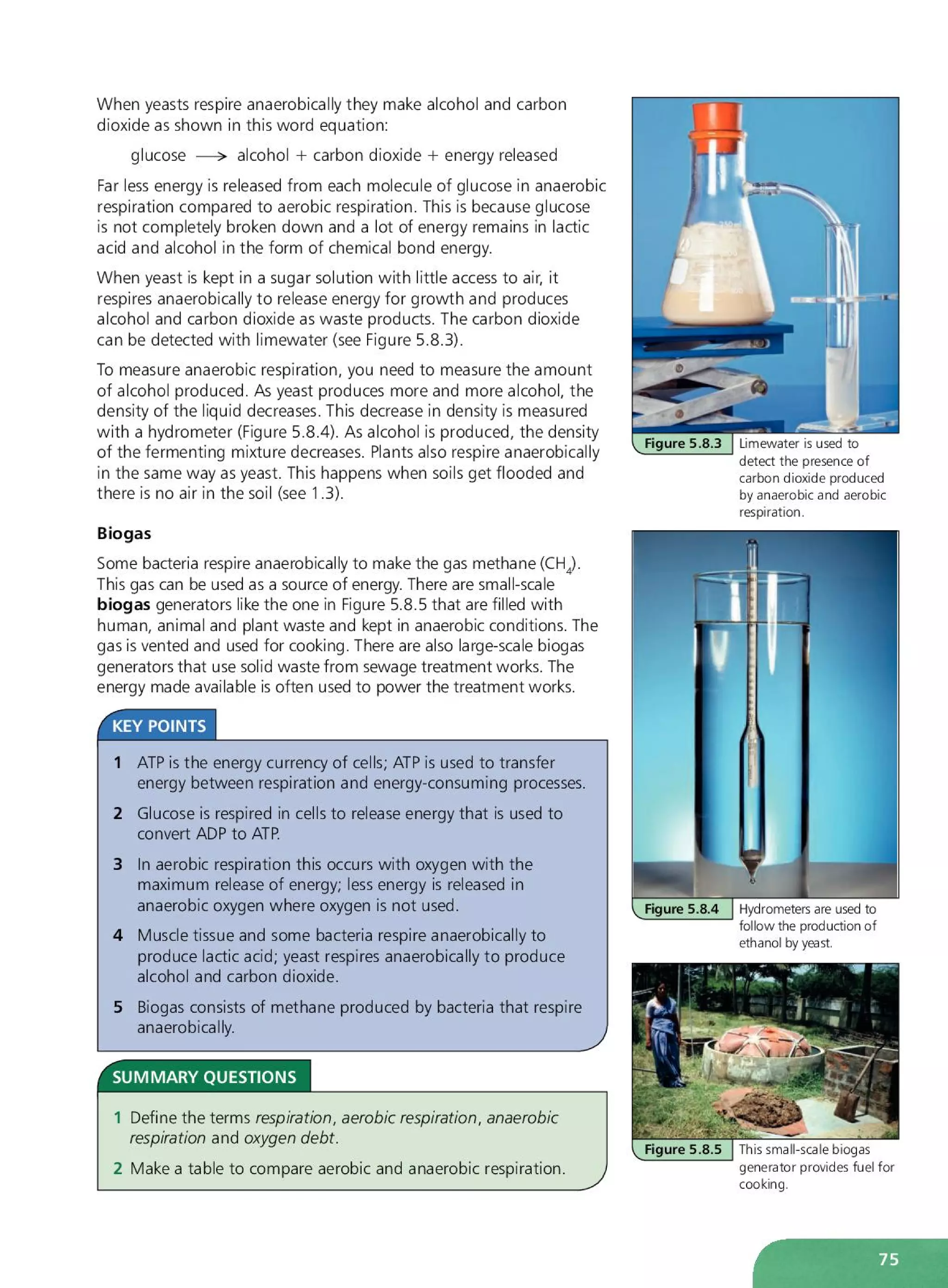 Biology for csec study guide | PDF