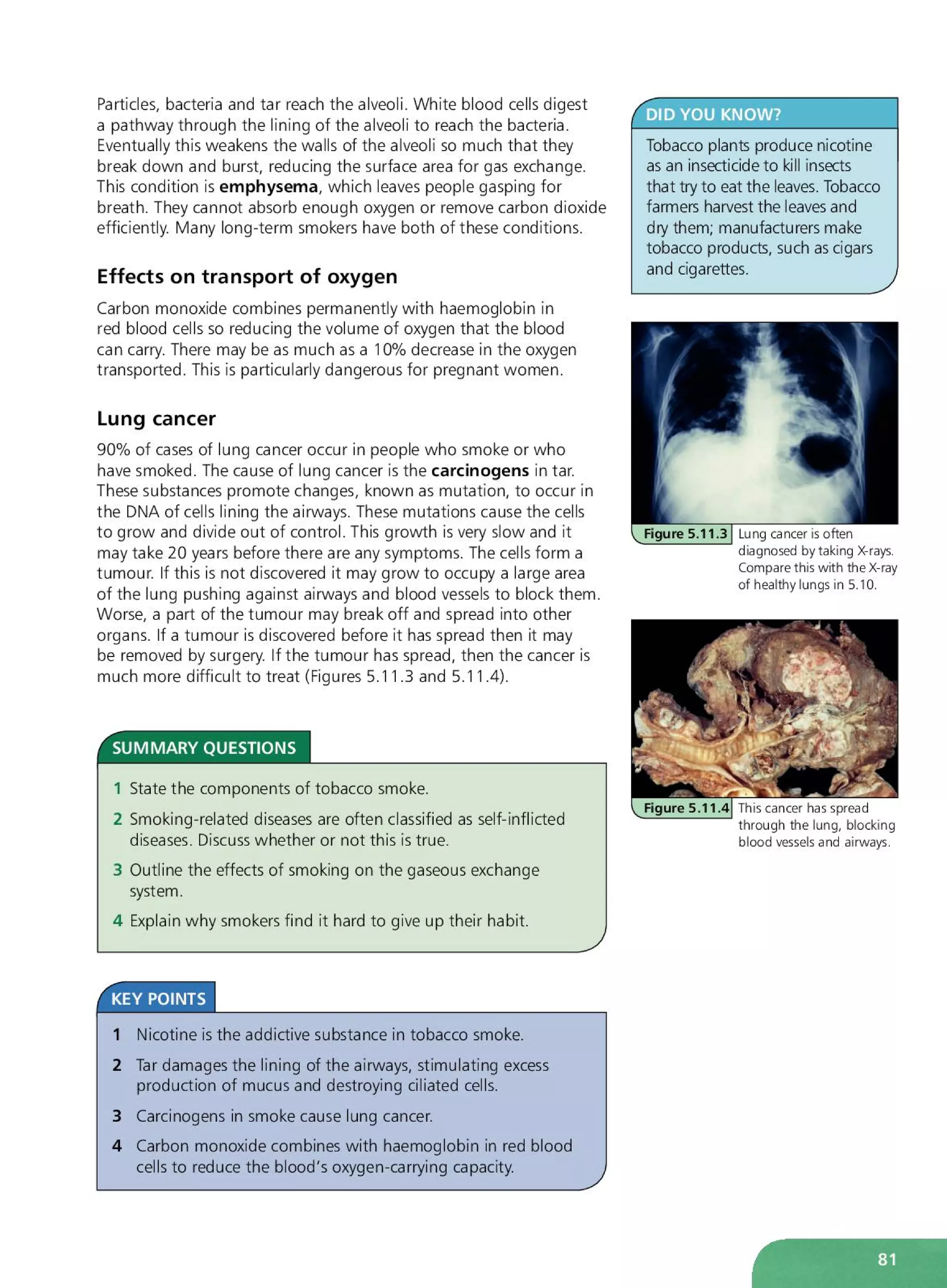 Biology for csec study guide | PDF