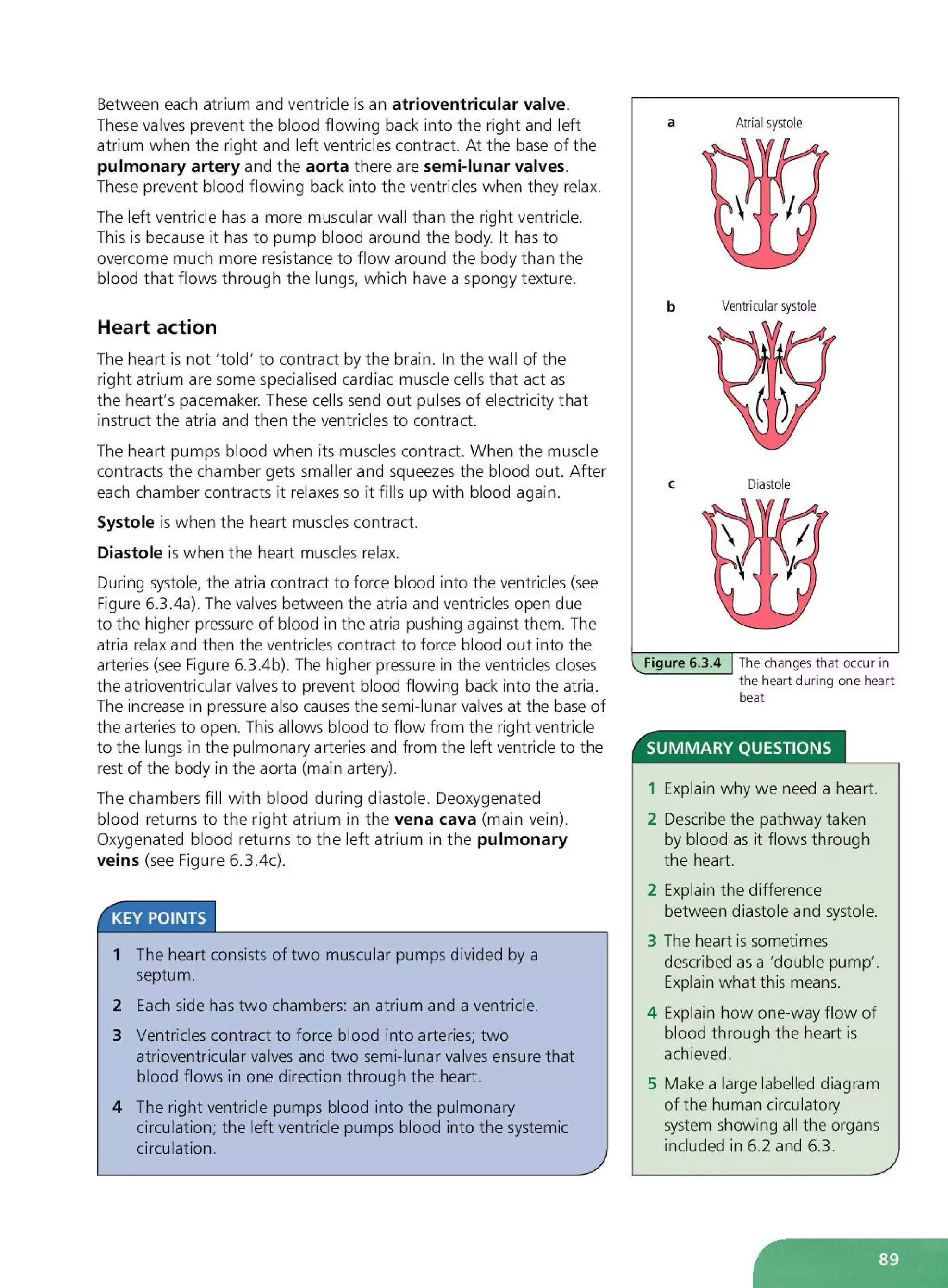 Biology for csec study guide | PDF