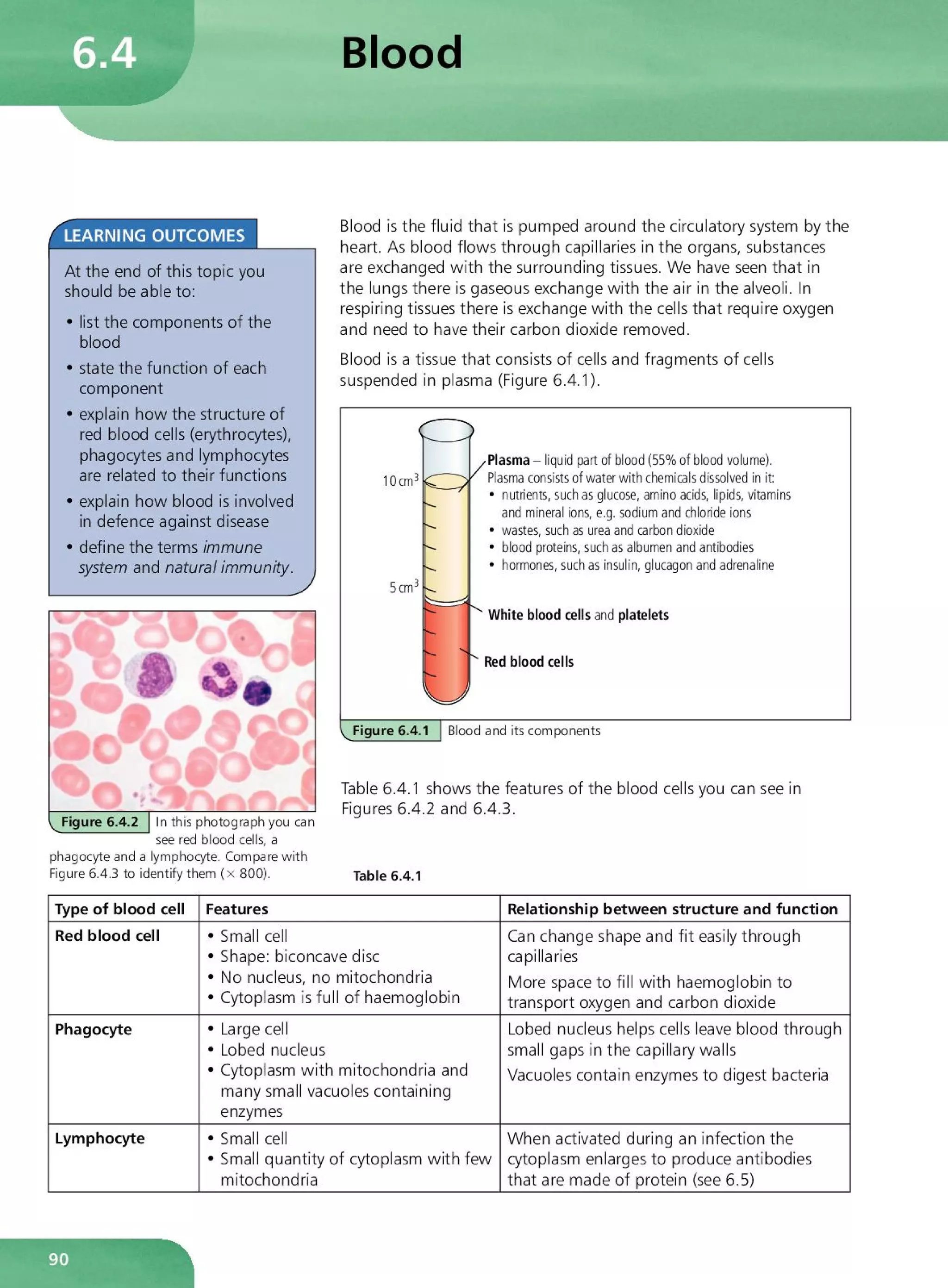 Biology for csec study guide | PDF