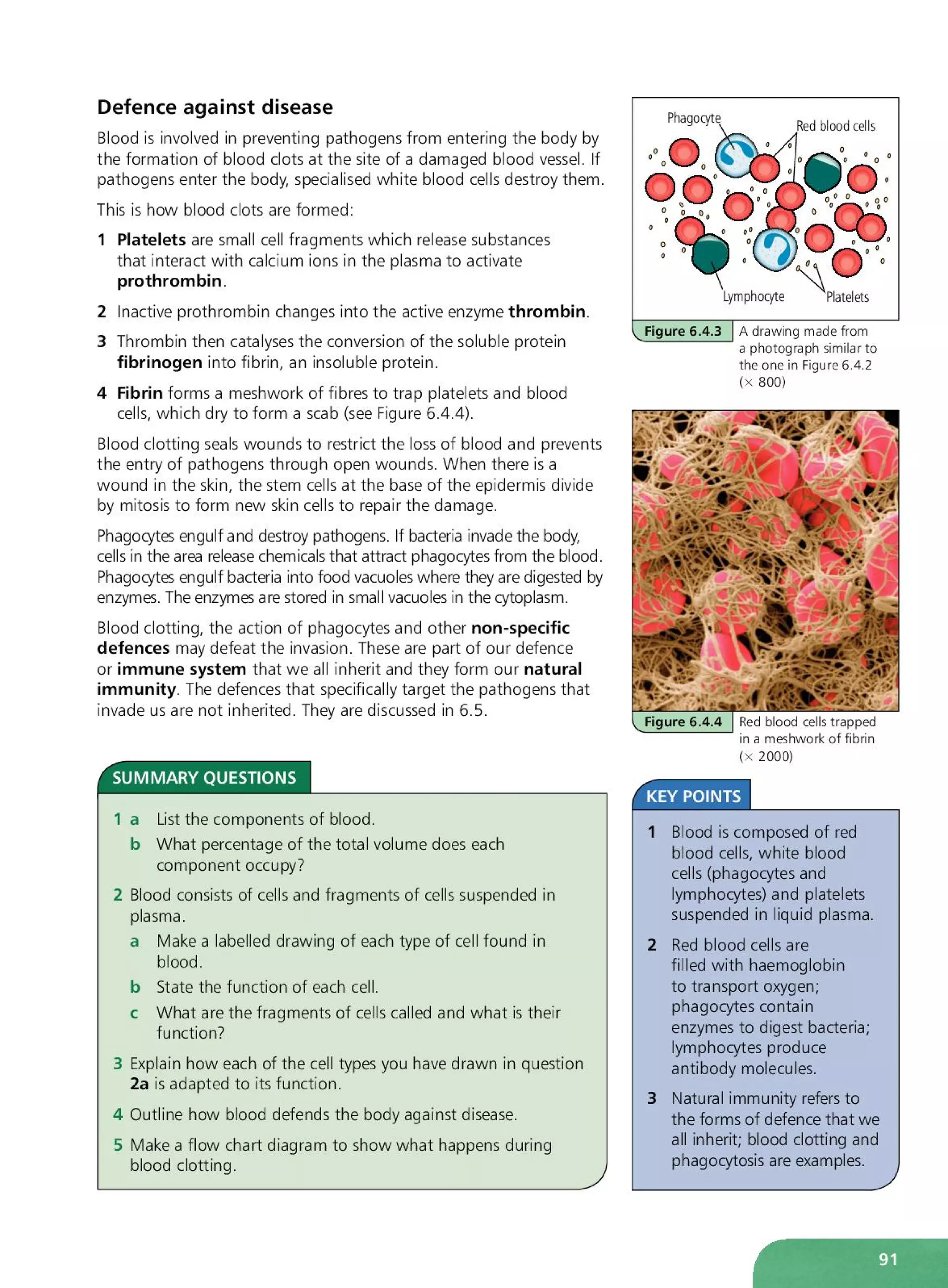 Biology for csec study guide | PDF
