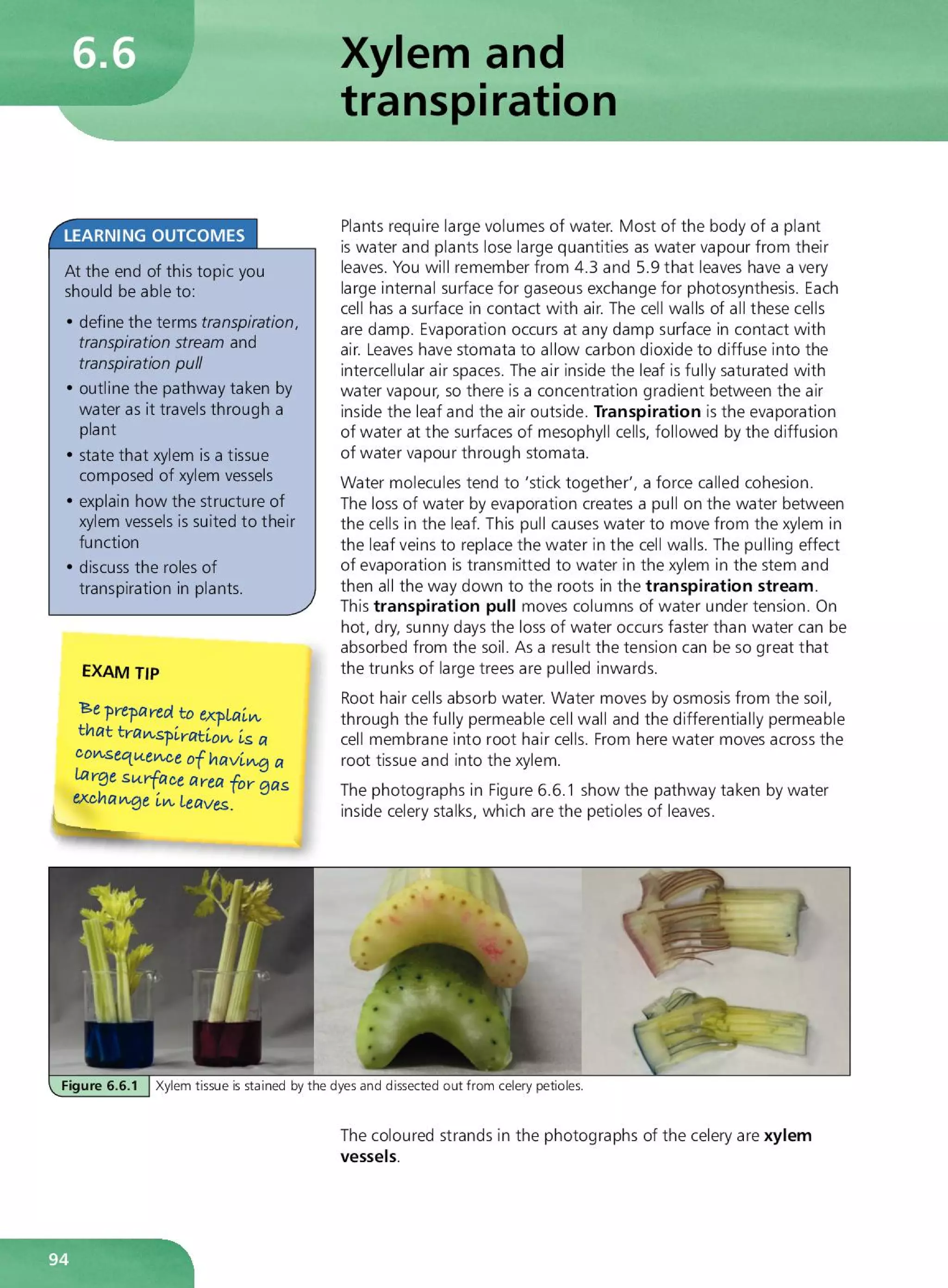 Biology for csec study guide | PDF
