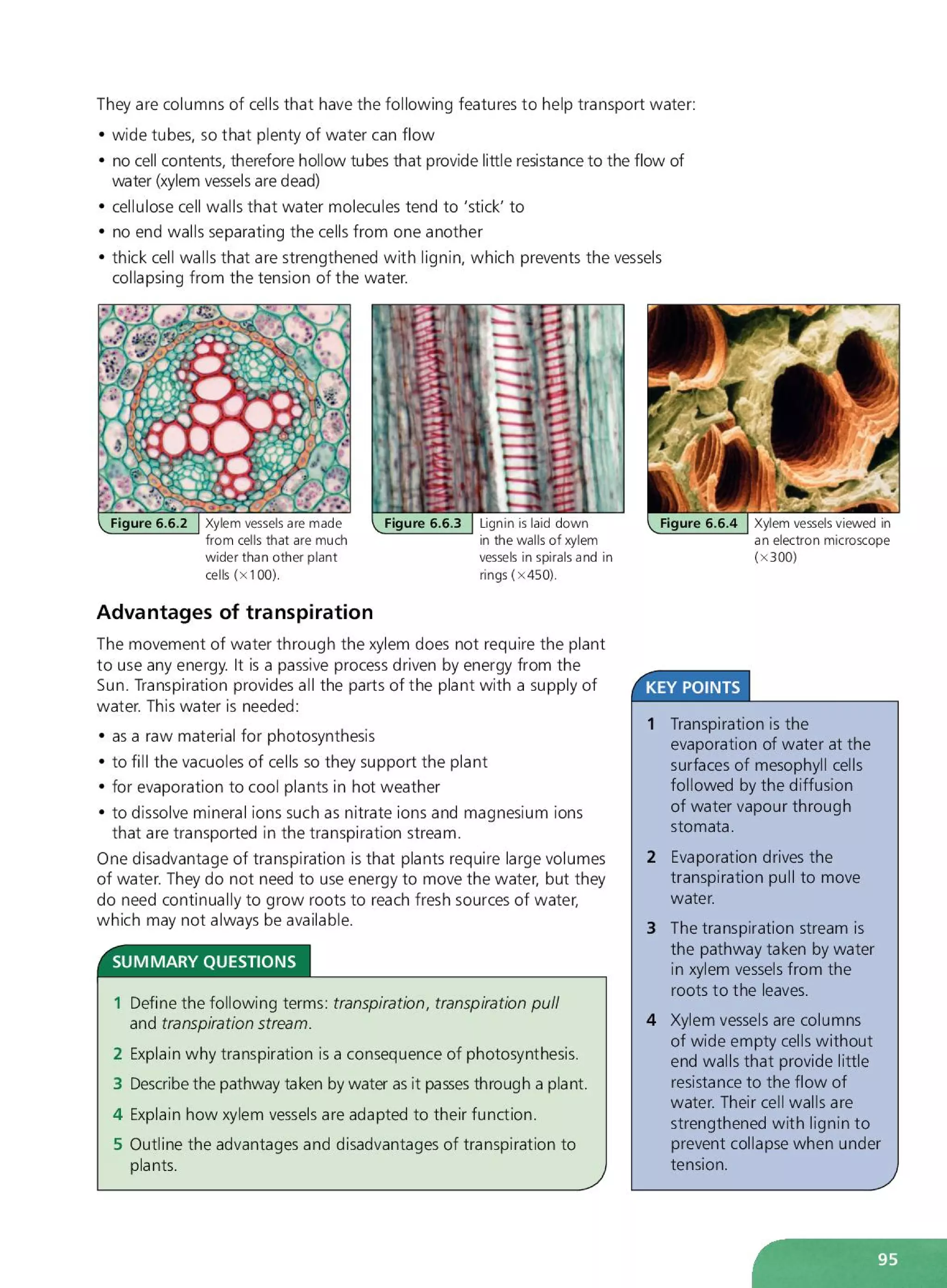 Biology for csec study guide | PDF