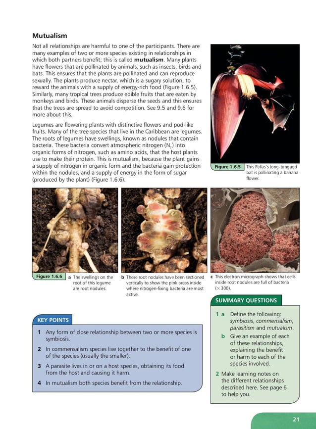 Biology for csec study guide | PDF