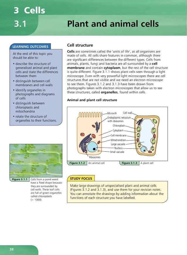 Biology for csec study guide | PDF