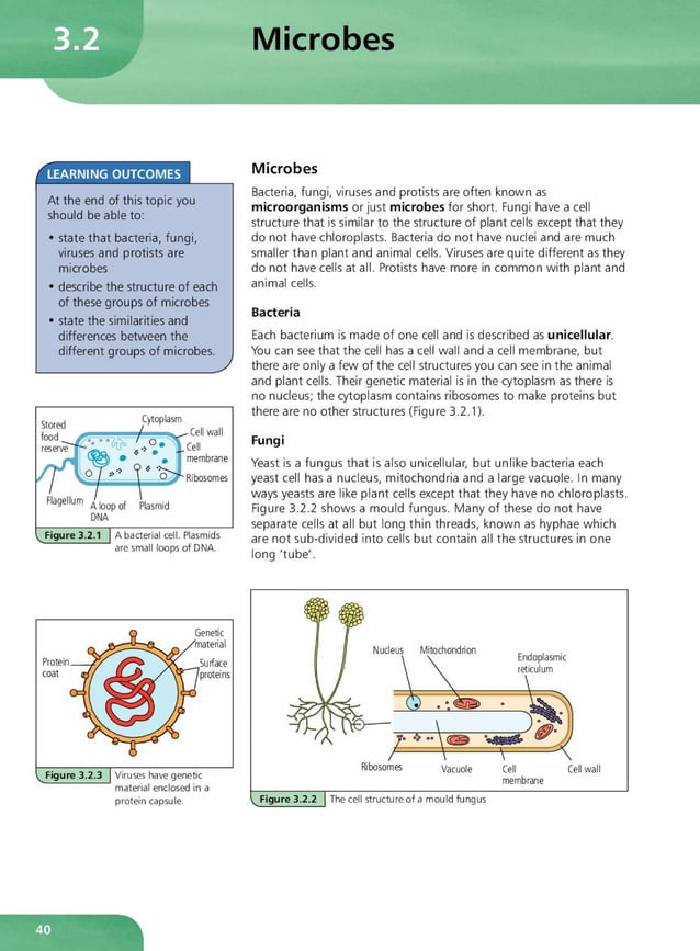 Biology for csec study guide | PDF