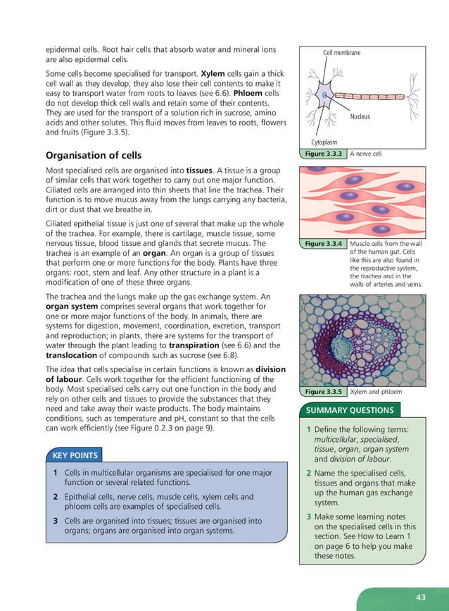 Biology for csec study guide | PDF