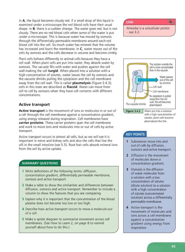 Biology for csec study guide | PDF