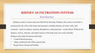 Biology for engineers FOR STUDENTS OF ENGINEERING | PPTX