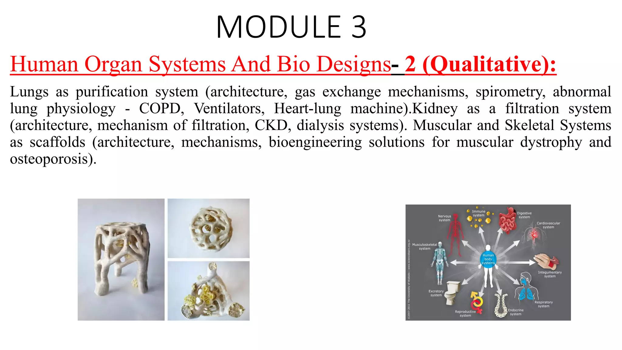 Biology For Engineers Module 3 / HUMAN ORGAN SYSTEMS AND BIO-DESIGNS ...
