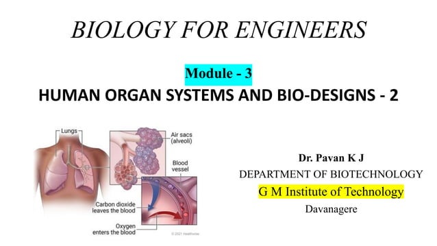 Biology For Engineers Module 3 / HUMAN ORGAN SYSTEMS AND BIO-DESIGNS ...