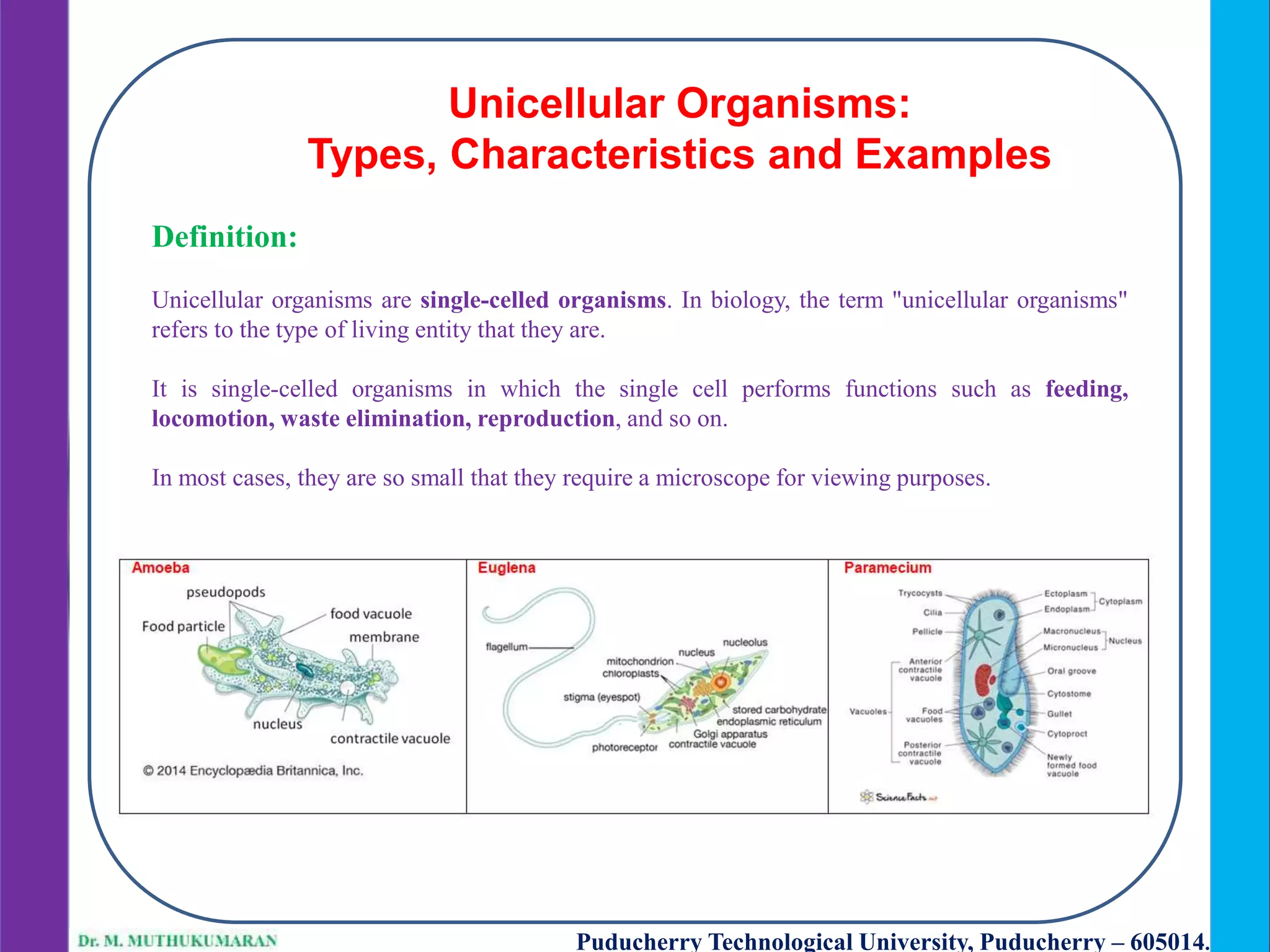 Biology for Engineers Part I (2023) - Dr. M. Muthukumaran.pptx