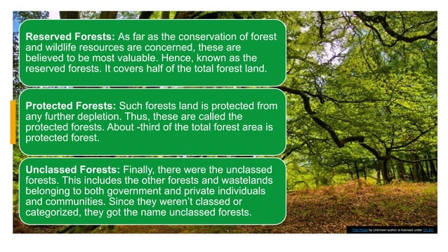 Biology forest and wildlife project | PPTX