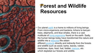 Biology forest and wildlife project | PPTX