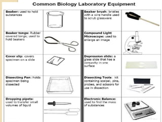 BIOLOGY FORM 1 Notes.pptx