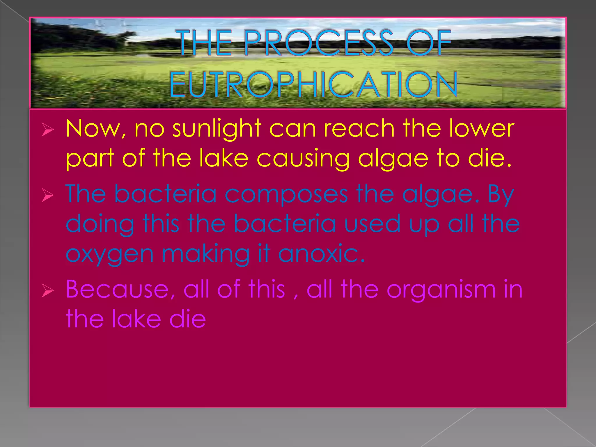 Biology form 4 eutrophication(Malaysia) | PPTX