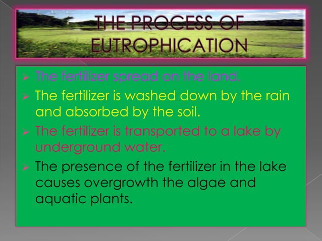 Biology form 4 eutrophication(Malaysia) | PPTX | Geography | Science