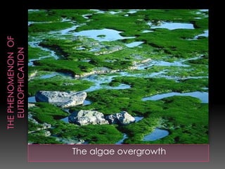 Biology form 4 eutrophication(Malaysia) | PPTX | Geography | Science