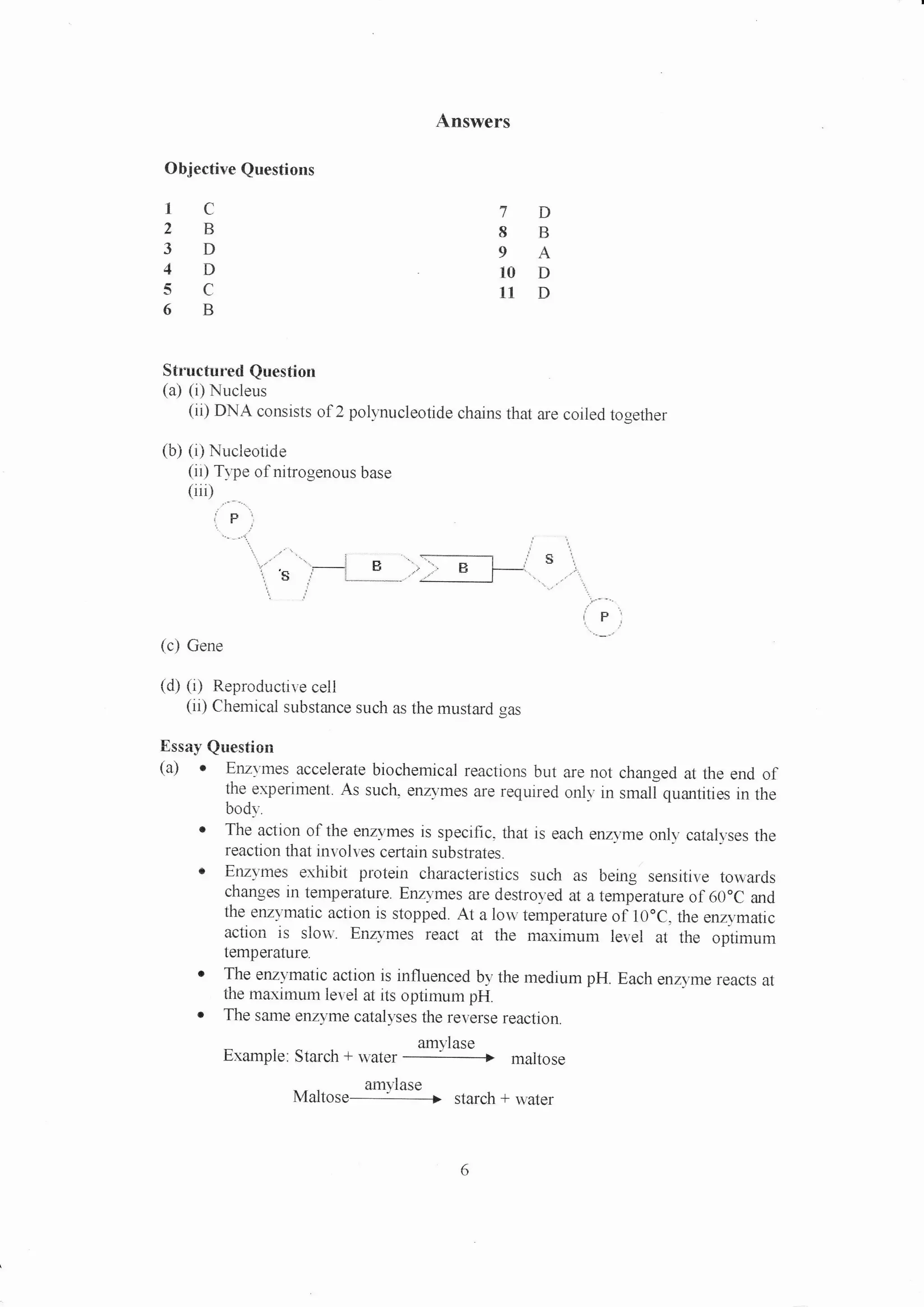 Biology form 4 chapter 4 5 | PDF