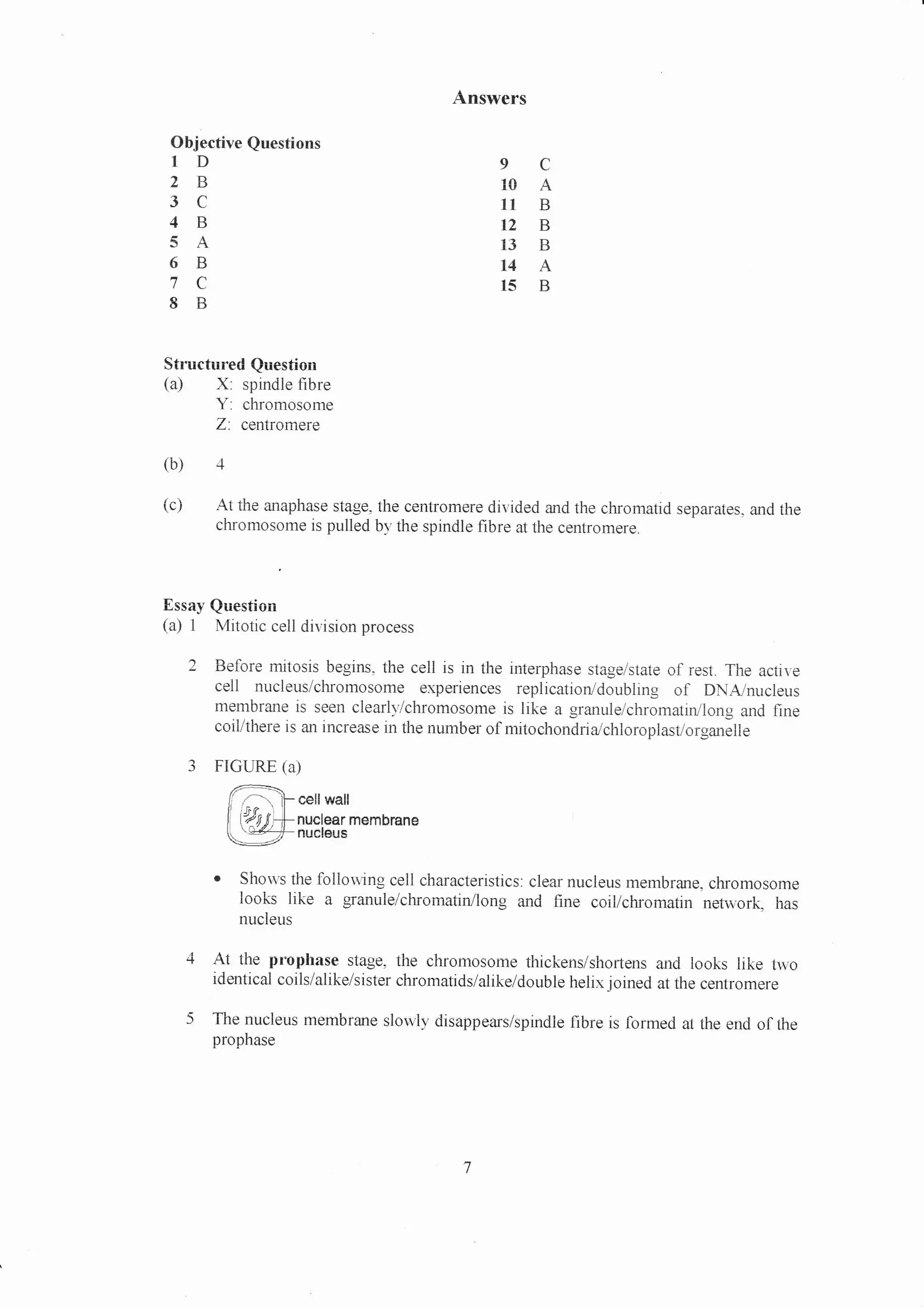 Biology form 4 chapter 4 5 | PDF