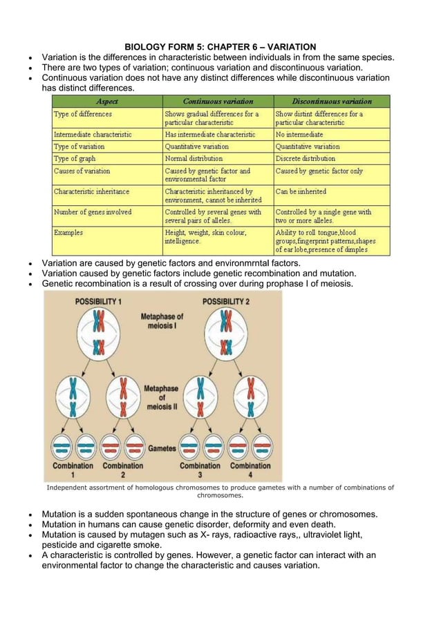Biology form 5 chapter 6 | PDF